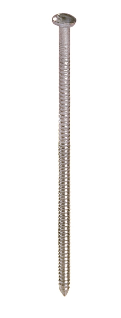 Pointe inox annelée tête bombée - Vis diverses pour bois et Pointes par ...